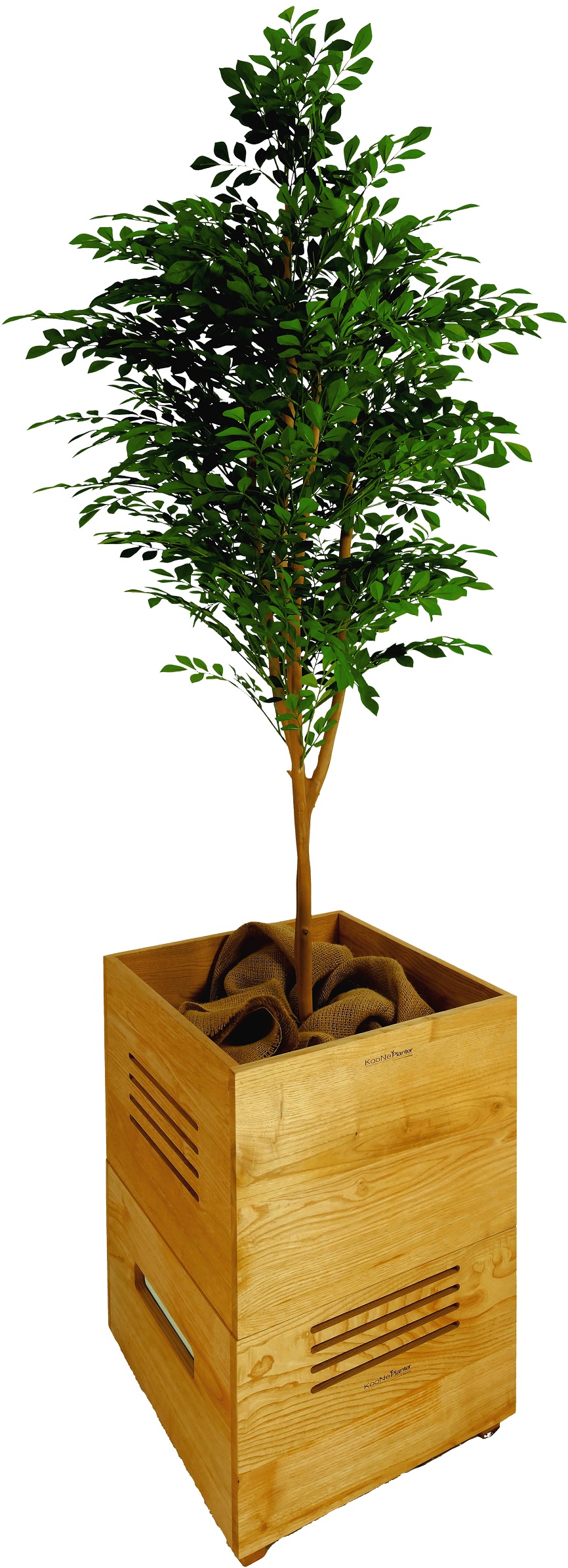 ATS、「KooNe Planter (クーネプランター)」 を発売 | Tokyo-Office-Trend